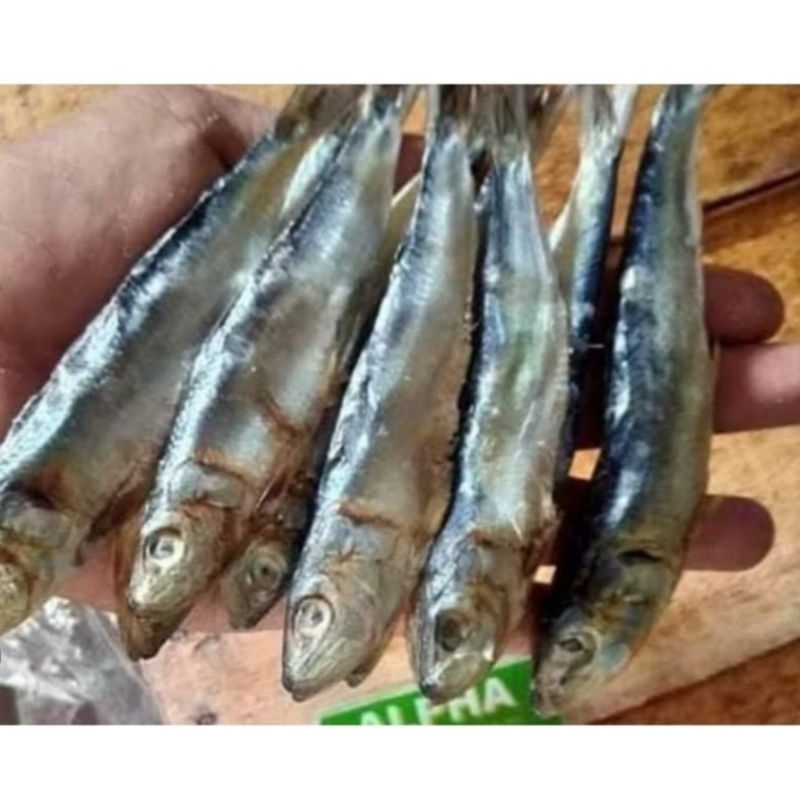 Tuyo Tamban Salinas/Sardines Dried Fish | Shopee Philippines