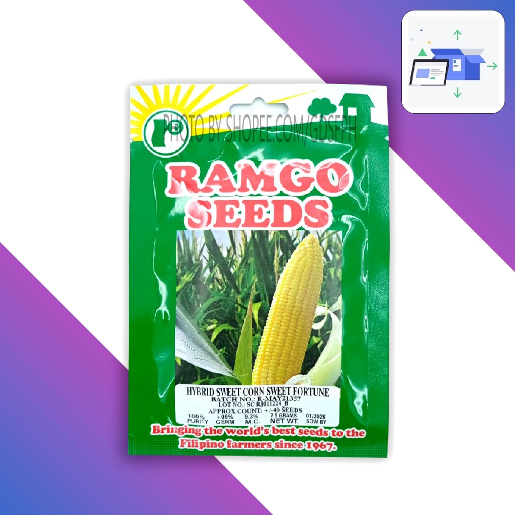 Ramgo RPD Sweet Fortune Hybrid Sweet Corn Seeds by 7.5g gdS41207 ...