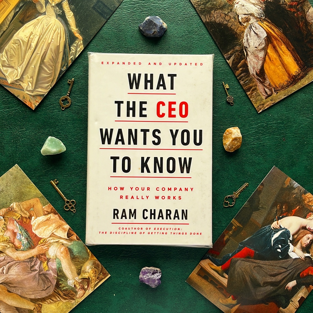 What the CEO Wants You To Know, Expanded and Updated: How Your Company ...