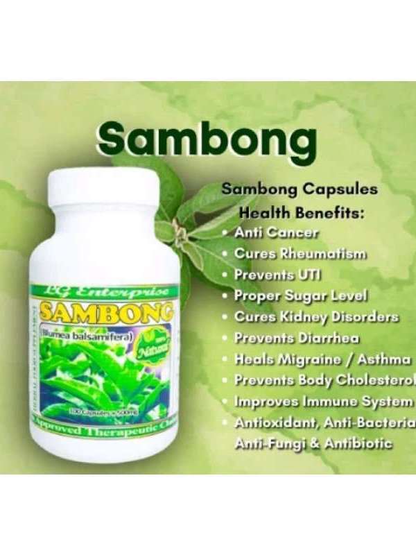 SAMBONG FOOD SUPPLEMENT 100 CAPSULE | Shopee Philippines
