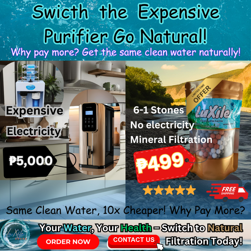 LuXile Stone – Natural Water Purifier | Mineral & Alkaline Infused | 5 ...