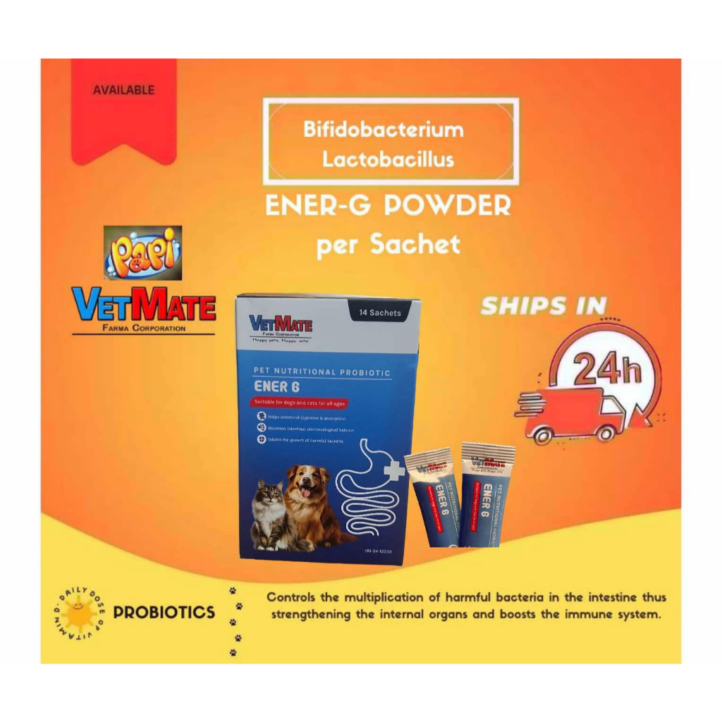 Papi Ener-G Probiotic (Bifidobacterium Lactobacillus) Vetmate Pet ...