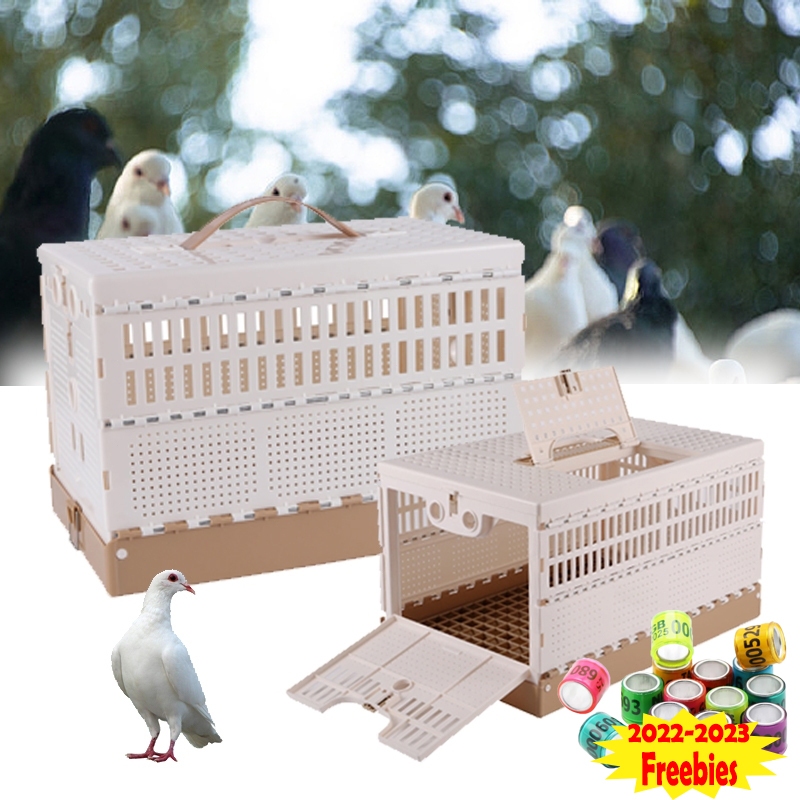 Foldable Taiwan Pigeon Training box for pigeon Cage for Racing Pigeon ...
