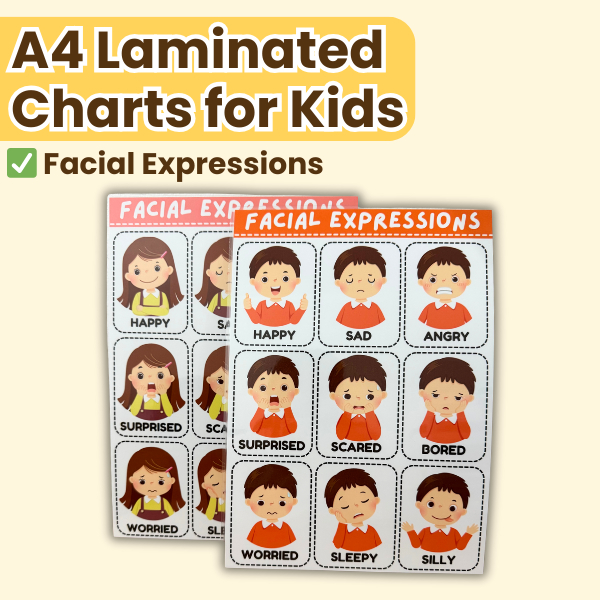 A4 Laminated Educational Chart for Kids | Facial Expressions | Shopee ...