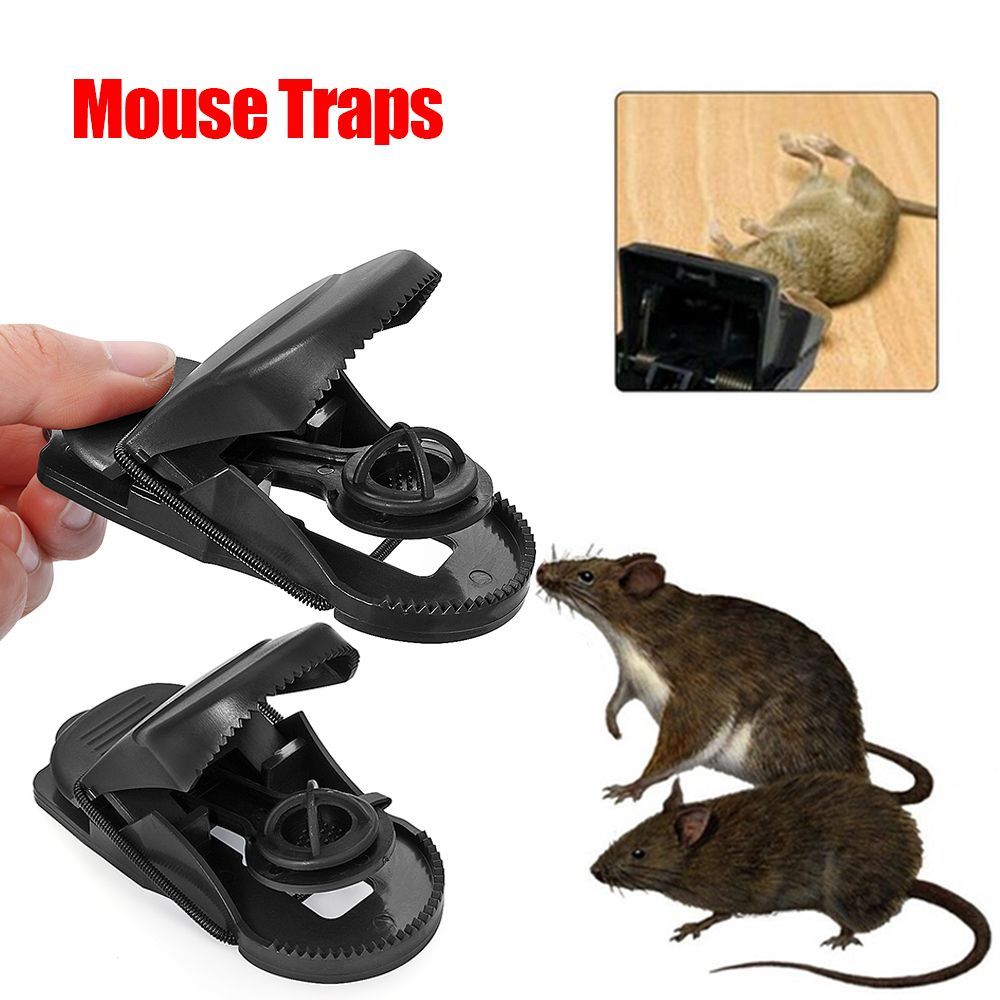 Mouse Trap / Mice Bait Trap / Reusable Sure Catch No Blood Rat Trap ...