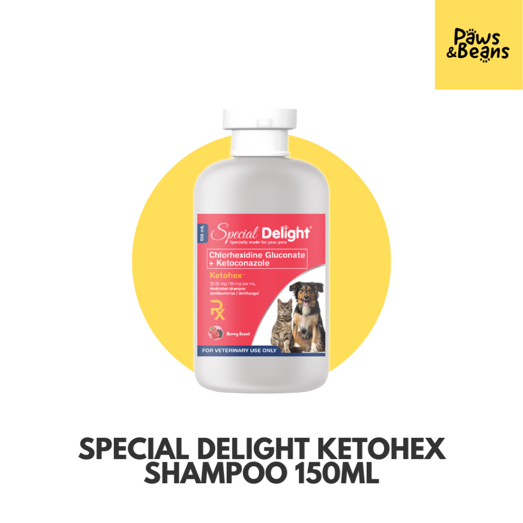 Special Delight Ketohex Medicated Shampoo for Cats & Dogs 150mL ...