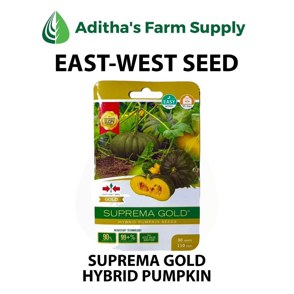 Aditha's East-West Seed: Suprema Gold F1 (Hybrid Pumpkin/Squash Seeds ...