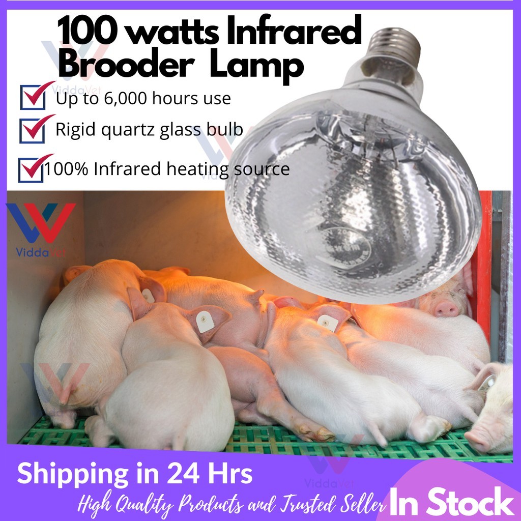 Viddavet-BROODER Heat LAMP Bulb 100 watts for animals | Shopee Philippines