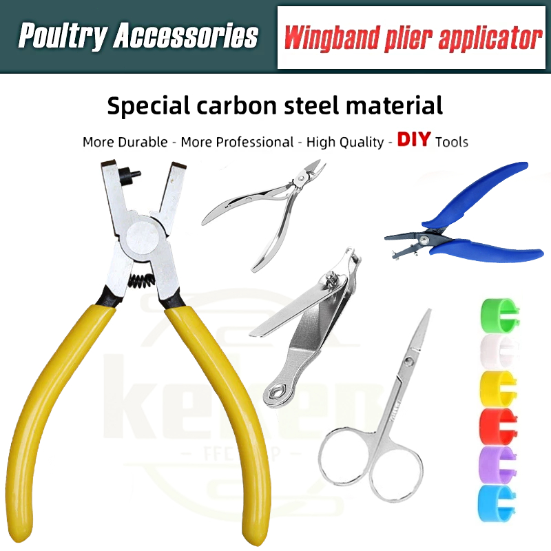 GameFowl Kit 2mm Stainless Steel Wings with Pliers Toe Punch for ...
