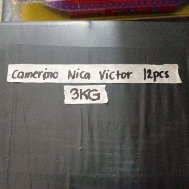 BOOK FOR CAMERINO NICA VICTOR ( HARDBOUND KIDS ) | Shopee Philippines