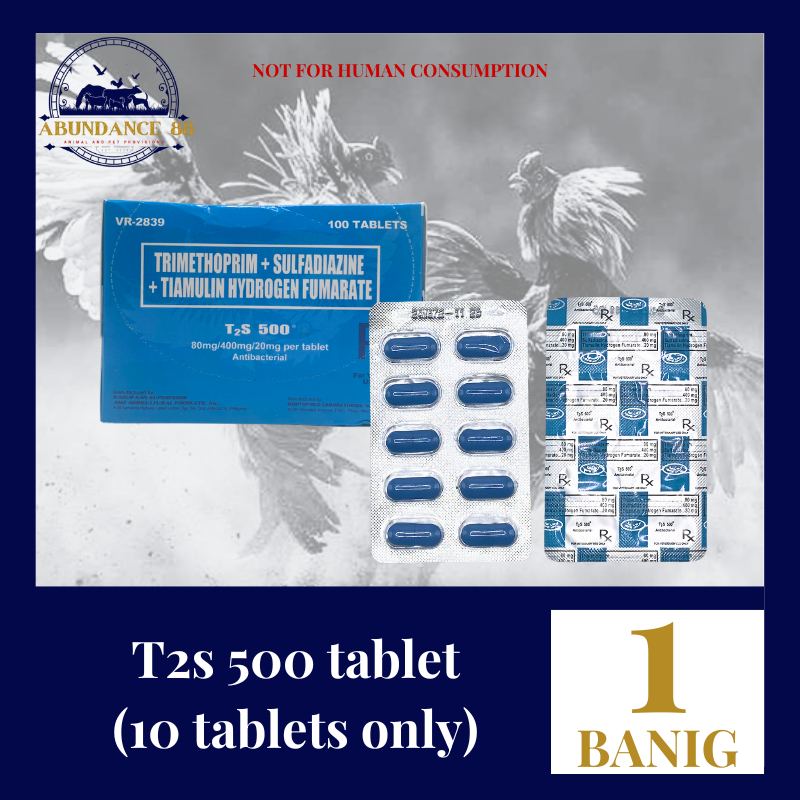 SAGUPAAN T2S 500 TABLET ANTI-BACTERIAL / ANTI-INFECTIVE - 10 TABLETS ...