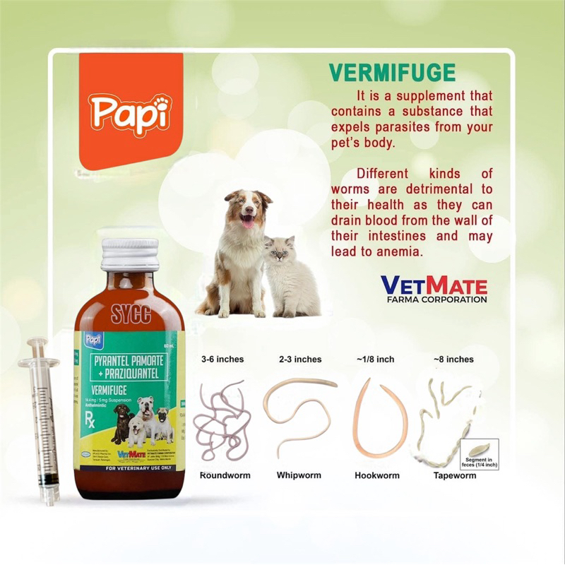 Papi Vermifuge Suspension Syrup 60ml for Dog & Cats | Shopee Philippines