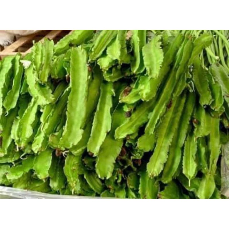 Native Sigarilyas Seeds for planting (10 seeds) | Shopee Philippines