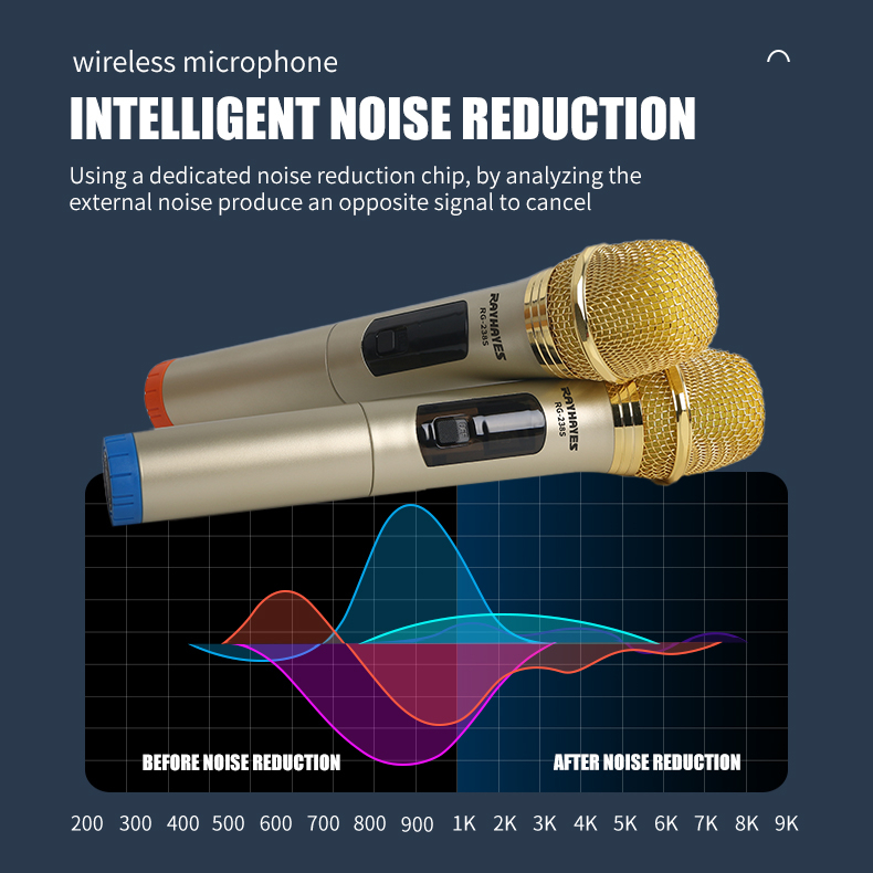 RG UHF Wireless Microphone – Dual Handheld Professional Karaoke Mic for ...