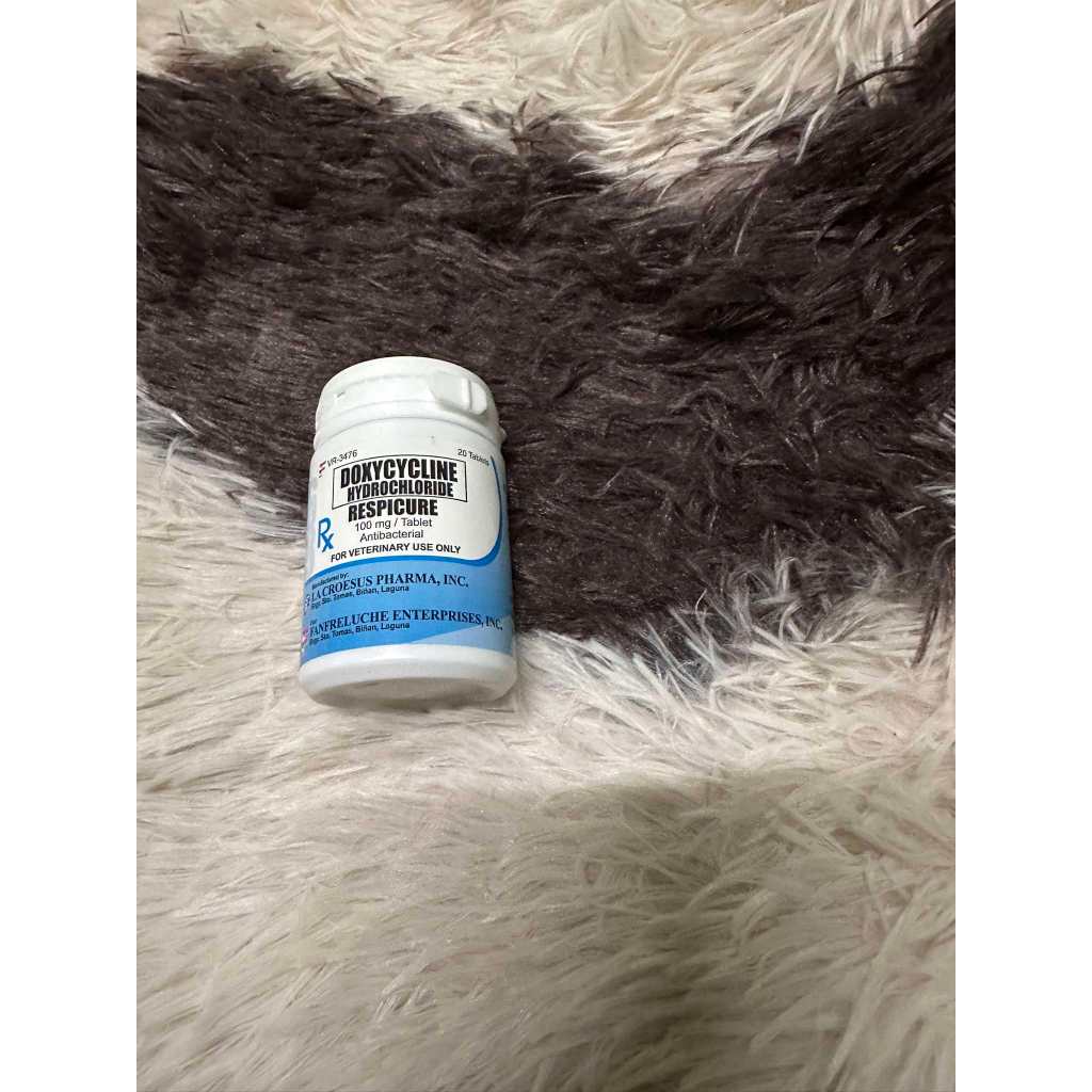 FEI Respicure 100mg 20 Tablets for racing pigeons | Shopee Philippines