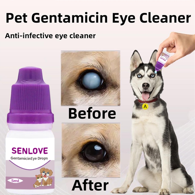 SENLOVE Gentamicin Eye Drop For Dog And Cat Eye Drops For Eye Infection ...