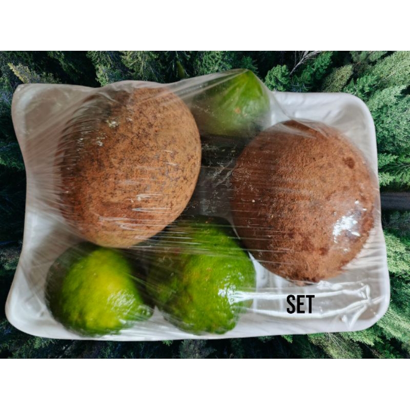 1 set tabon tabon and biasong for kinilaw | Shopee Philippines