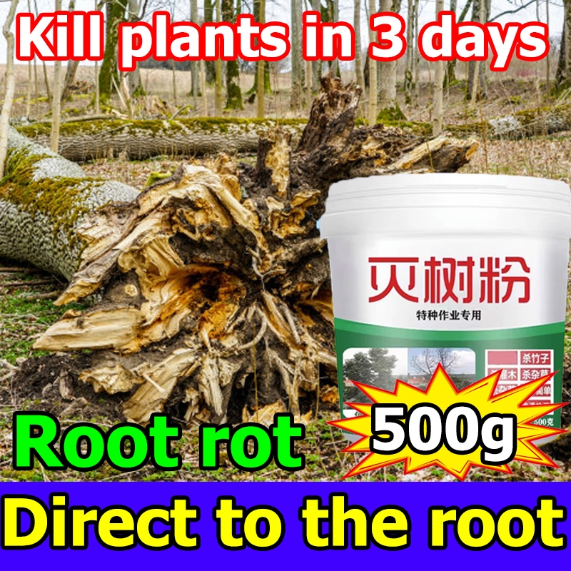 Root Rot! tree killer 500g concentrated formula can kill trees weeds ...