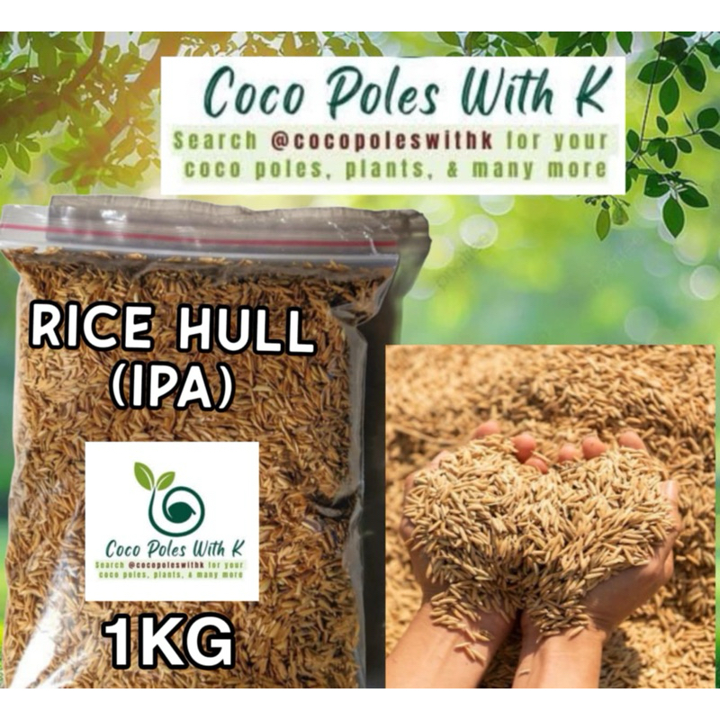 1kg Rice Hull, Ipa, Rice husk | Shopee Philippines