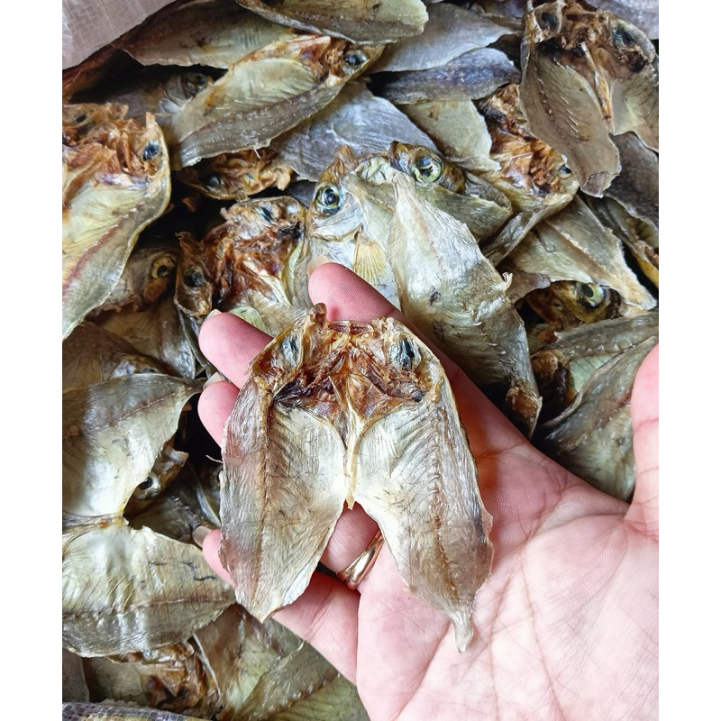 DFP Dried Cebu Danggit 250g | 500g | 1 Kilo (Vacuum Sealed | Resealable ...
