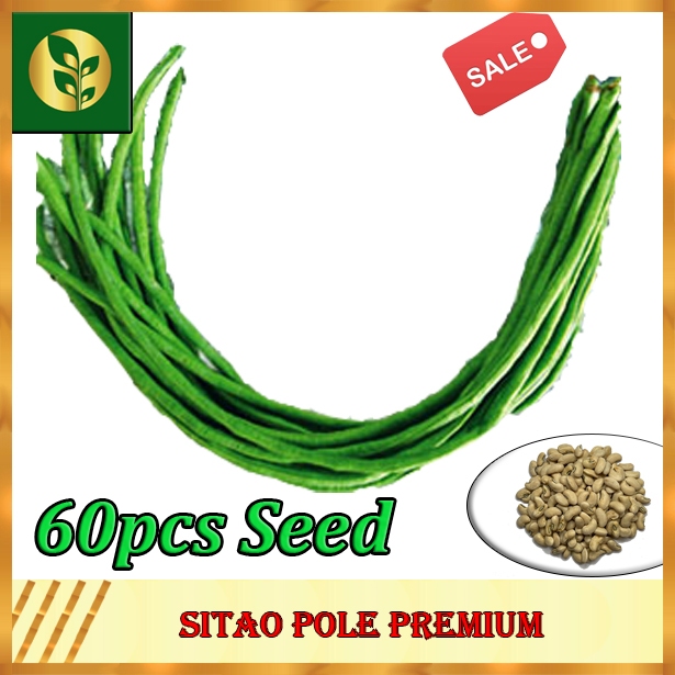 Sitao Pole Seeds | Sitao Seeds | Sitaw Seeds | Golden Plant and Seed ...
