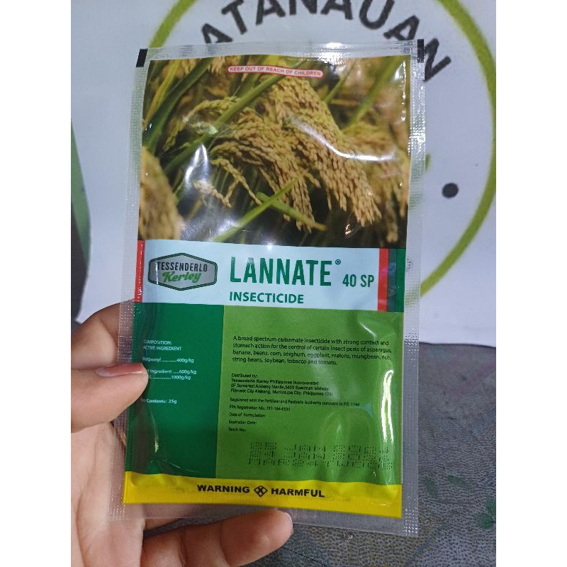 LANNATE 40 SP 25G(INSECTICIDE) | Shopee Philippines