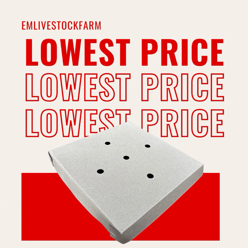 Pugo Box Quail Egg Box 10pcs | Shopee Philippines