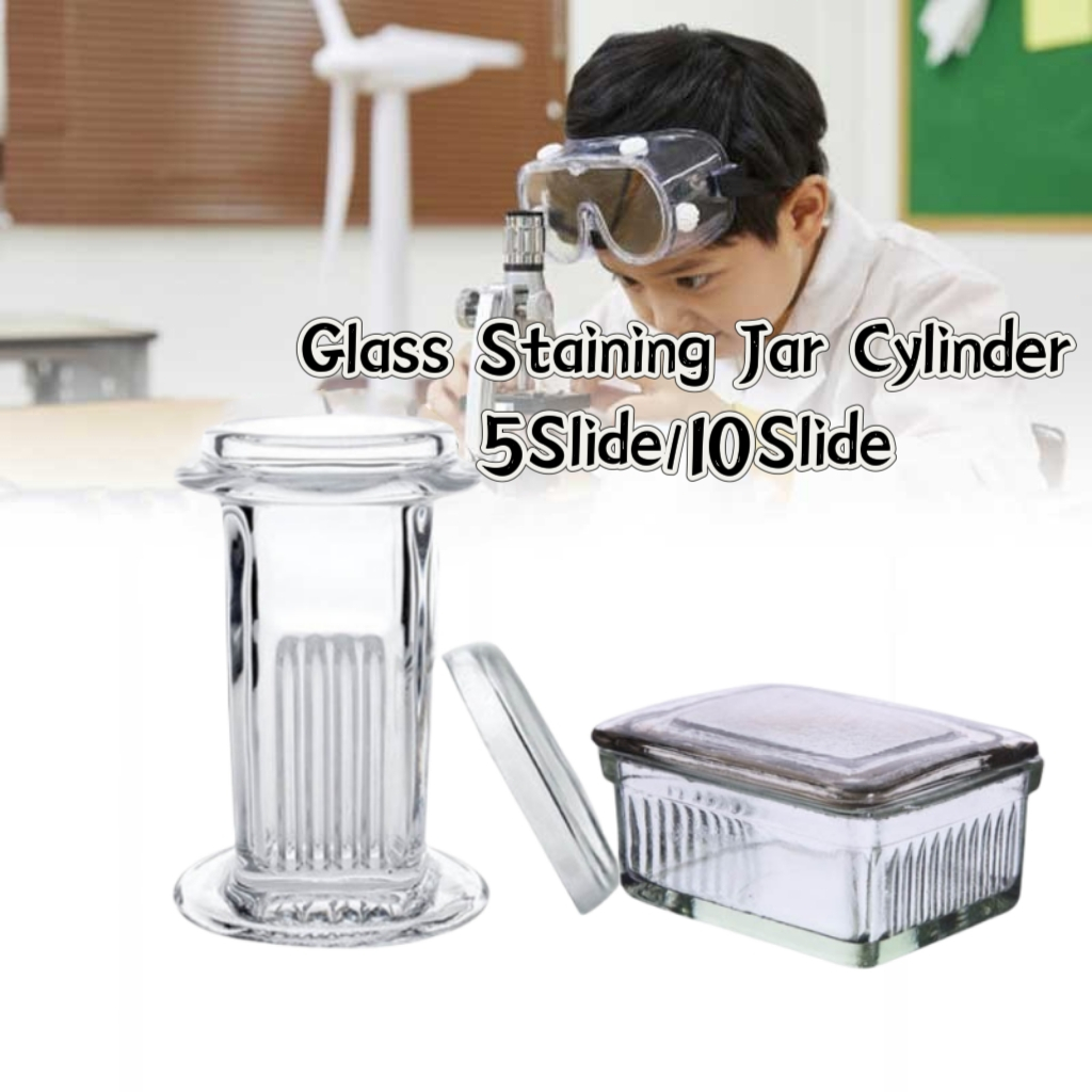 5Slide/10Slide Glass Staining Jar Glass Slides Staining Container Jar ...
