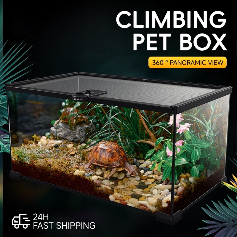 Reptile Glass Terrarium, Reptile Breeding Box, Amphibian Tank, Suitable ...