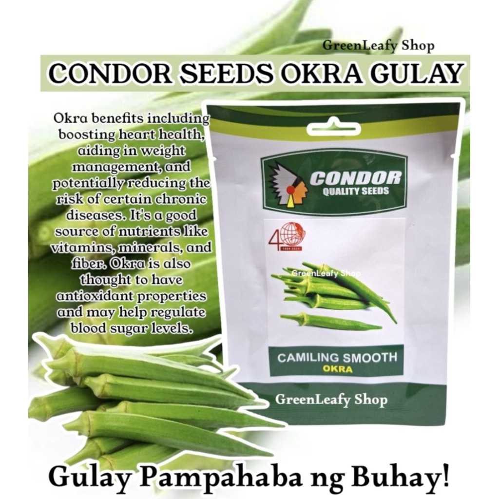 OKRA CONDOR CAMILING SMOOTH QUALITY VEGETABLE GULAY SEEDS / GreenLeafy ...
