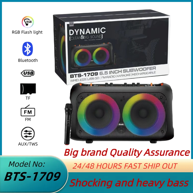 NEW BRODU BTS-1709 Brudo Subwoofer BLUETOOTH Karaoke Speaker with free ...
