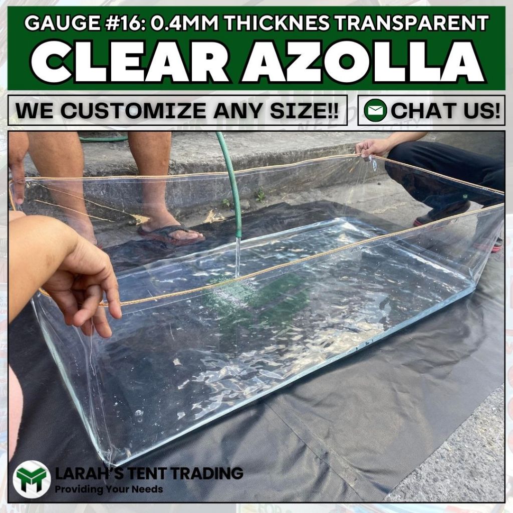 AZOLLA GAUGE 16 AZOLLA POND TRANSPARENT CLEAR TRAPOND FISH POND FISH ...