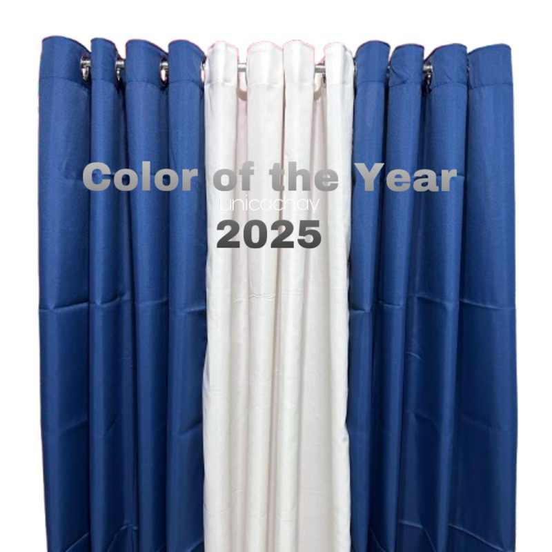 Color of the Year 2025: FUTURE DUSK (sold per piece/set) | Shopee ...