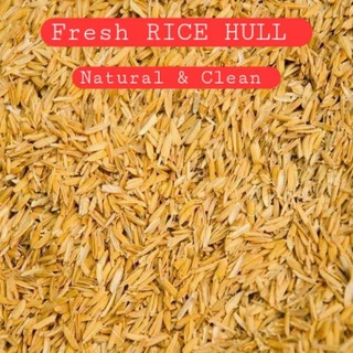 Shop rice husk for Sale on Shopee Philippines