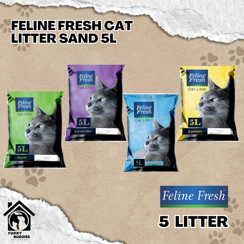 FELINE FRESH CAT LITTER SAND 5L | Shopee Philippines