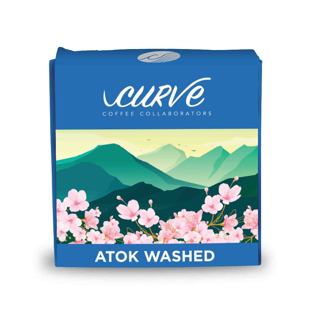 Curve Coffee Atok Washed 250g | Shopee Philippines