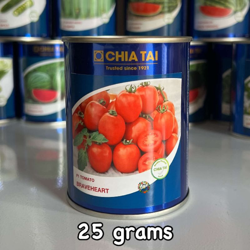 CHIA TAI BRAVEHEART F1 (25g) HYBRID TOMATO (KAMATIS) QUALITY VEGETABLE ...