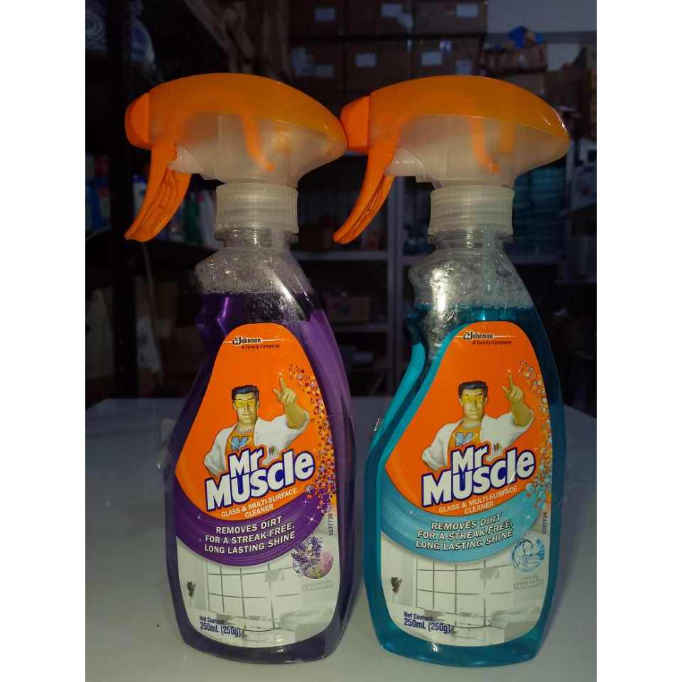 Mr.Muscle Spray 250ml | Shopee Philippines
