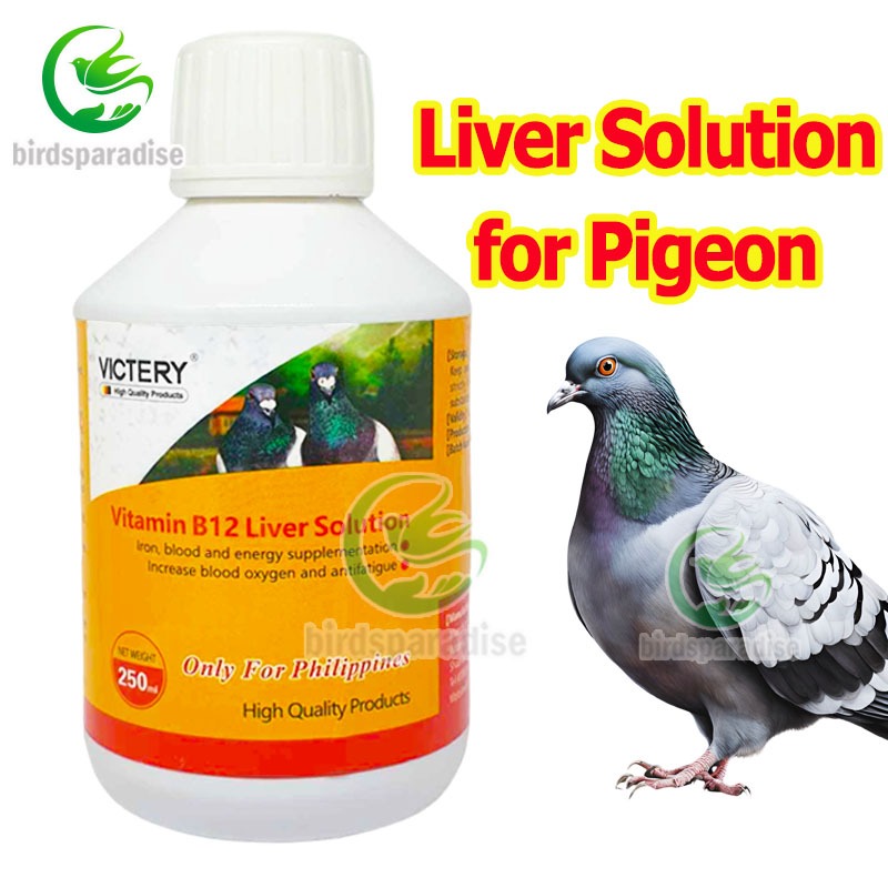 Victery Vitamin B12 Liver Solution for pigeons, racers and breeders ...