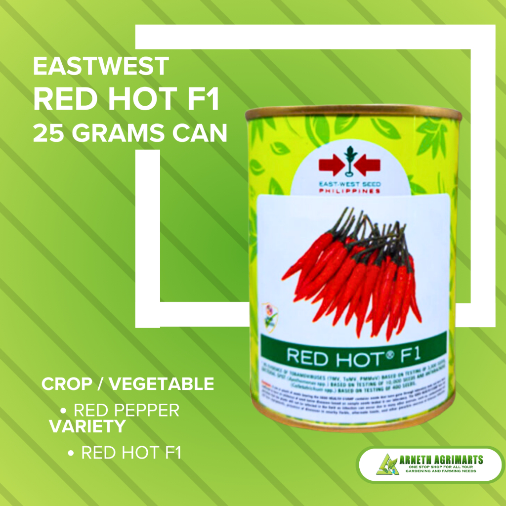 RED HOT F1 HOT PEPPER CHILI SEEDS BY EASTWEST 25G CAN | Shopee Philippines