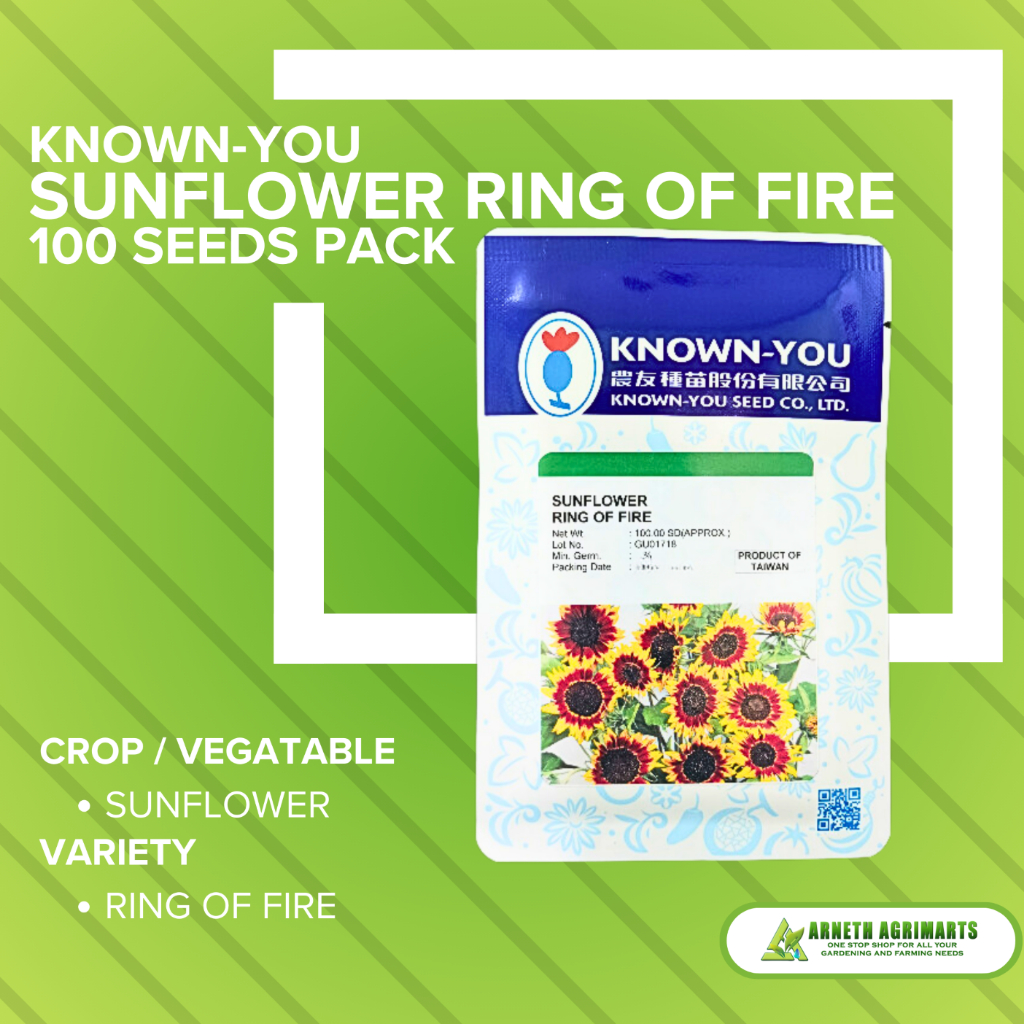 ARNETH SUNFLOWER RING OF FIRE (APPROX. 100 SEEDS) BY KNOWN-YOU | Shopee ...