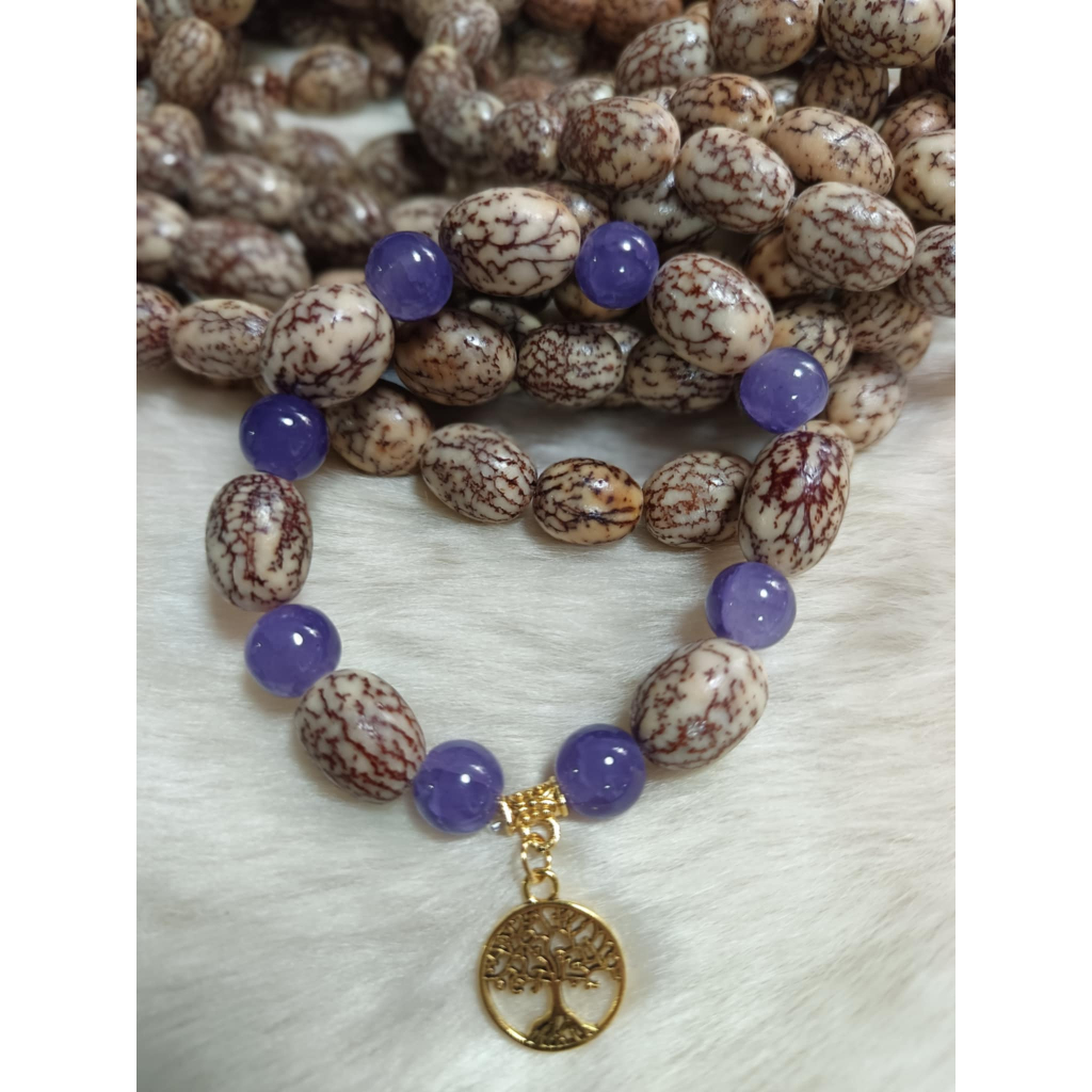 Future Dust 2025 Lucky Color Bracelet w/Buto ng Sinukuan/Money Tree ...