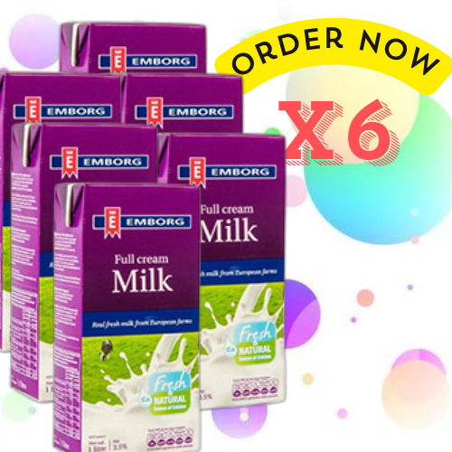 Emborg Full Cream Milk 1L x6 - Creamy, Nutritious Milk for Every Family ...
