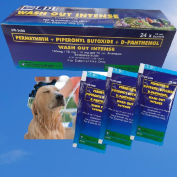 Wash Out Intense Animal Shampoo 10ml Sachet Anti Garapata Earmites ...