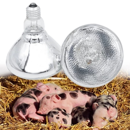 100W Warm Lamp For Pigs Special Thickened Heating Chick Heating Lamp ...