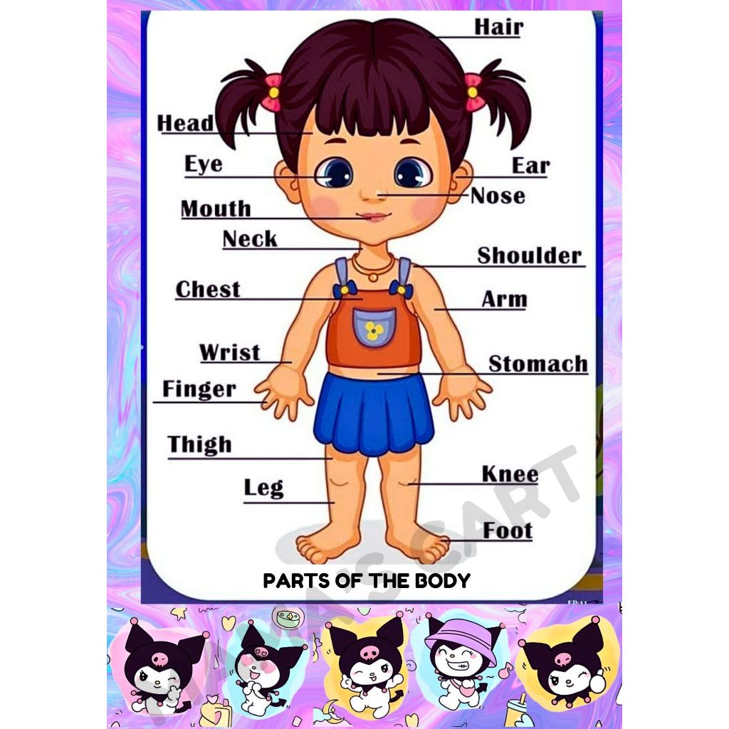 KUROMI EDUCATIONAL CHARTS A4 SIZE LAMINATED FOR KIDS ALPHABET NUMBERS ...