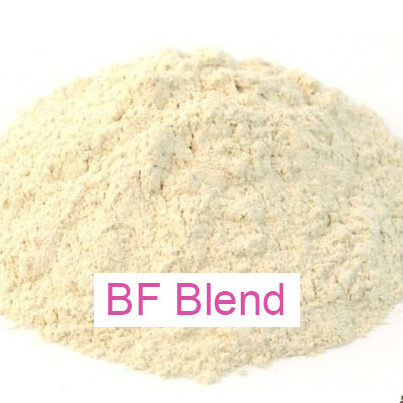 BF Blend 100g Binder Filler Blend Meat Extender Meat Alternative Meat ...