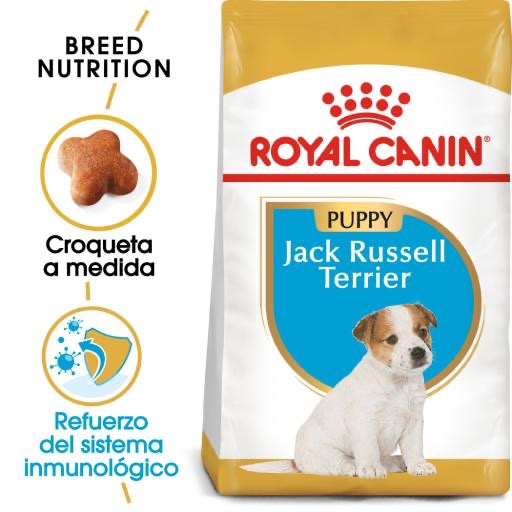 Royal Canin Jack Russel Junior | Shopee Philippines