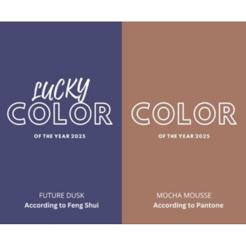 Mocha Color of the year/Future Dusk lucky color/ | Shopee Philippines