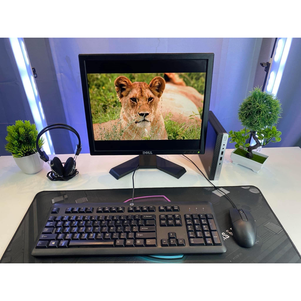 HP MINI PC I5 8TH GEN 8GB RAM 256GB M.2 SSD 17 INCHES SQUARE MONITOR ...